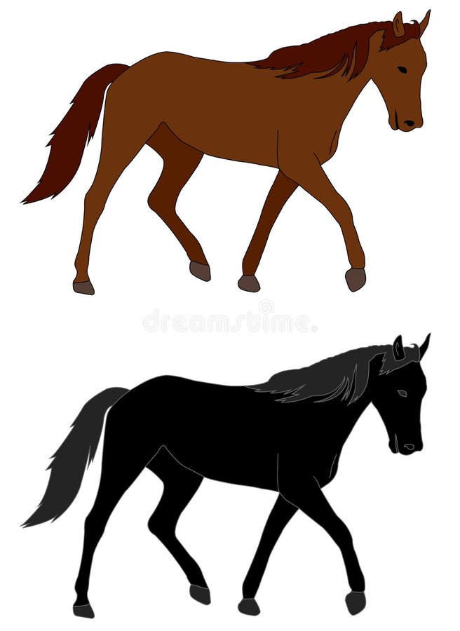 Horse illustration stock vector. Illustration of equine - 73649438