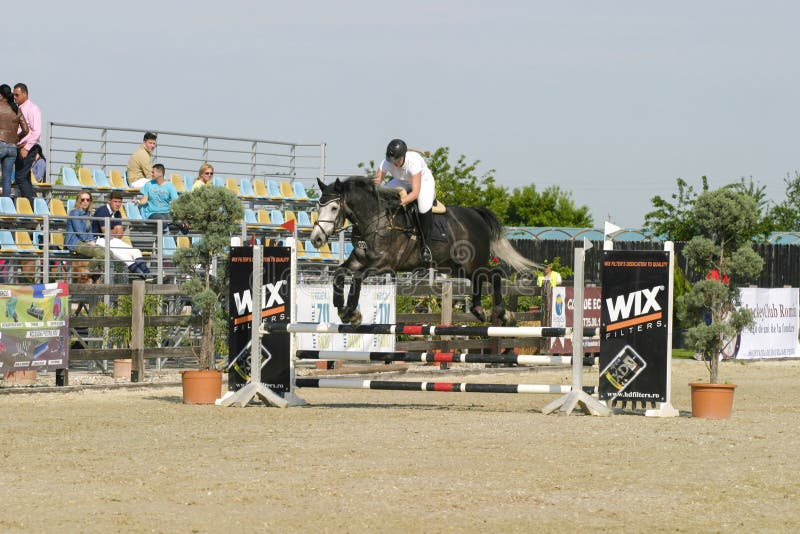 Equitation Contest, Horse Jumping Over Obstacle Editorial Photo - Image ...