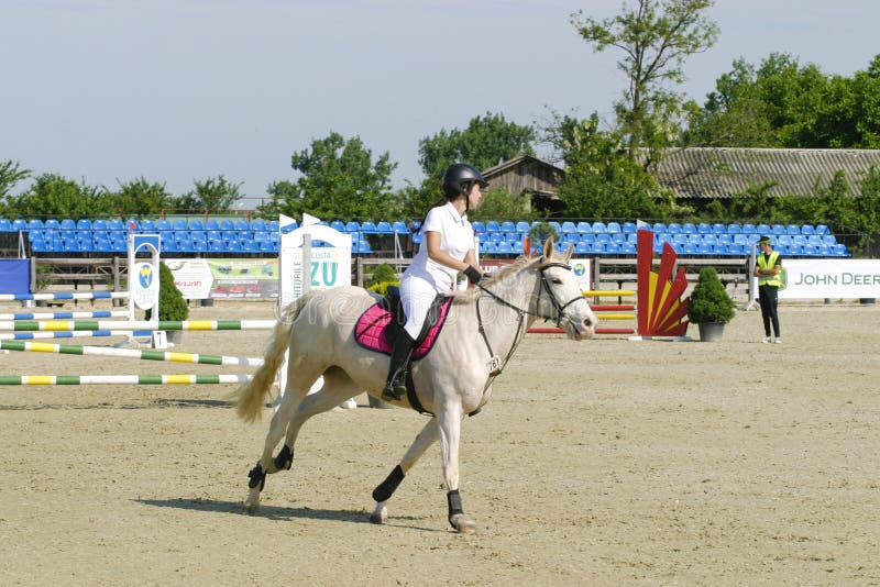 Equitation Contest, Horse Preparing To Jump Over an Obstacle Editorial ...
