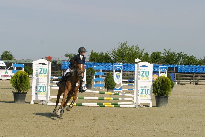 Equitation Contest, Horse Preparing To Jump Over an Obstacle Editorial ...