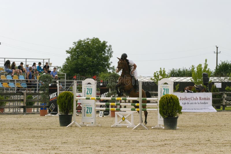 Equitation Contest, Horse Jumping Over Obstacle Editorial Photo - Image ...