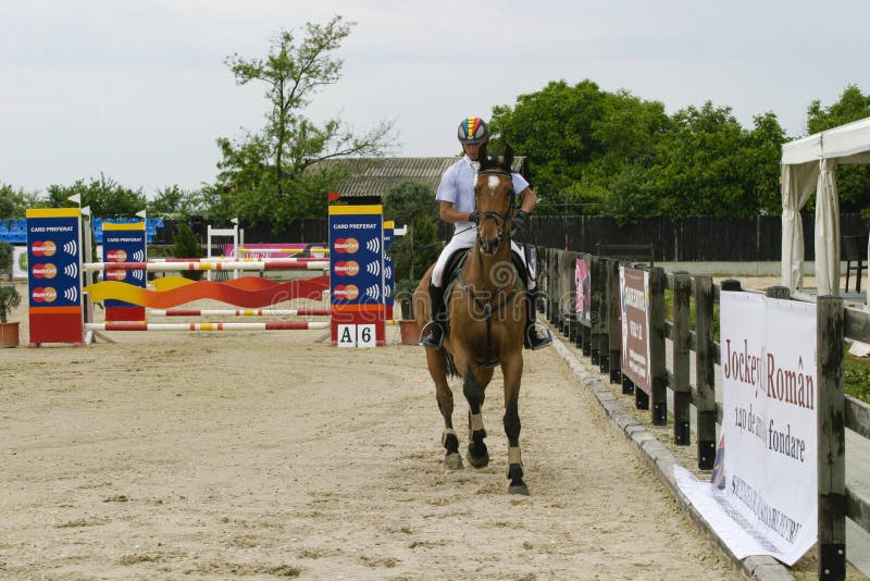 Equitation Contest, Horse Preparing To Jump Over an Obstacle Editorial ...