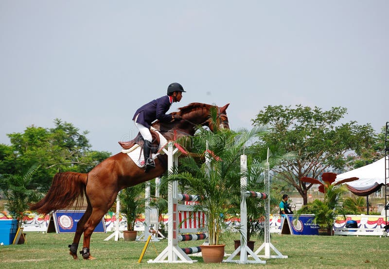Horse refusing jump stock image. Image of falls, girls - 72867169