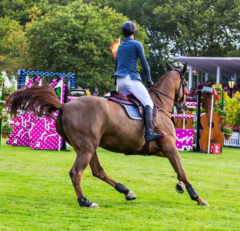 Horse jumping competition editorial photography. Image of champion ...