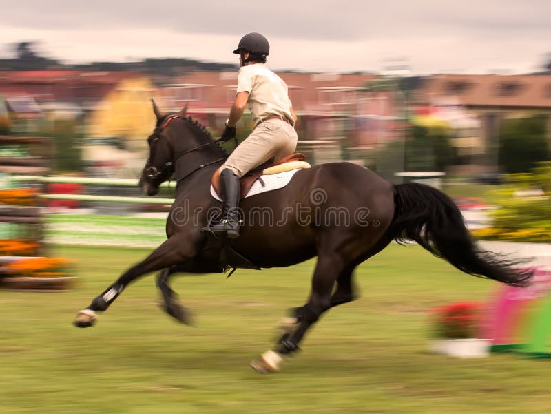 Horse jumping competition editorial photography. Image of purebred ... Horse jumping competition editorial photography. Image of purebred ...