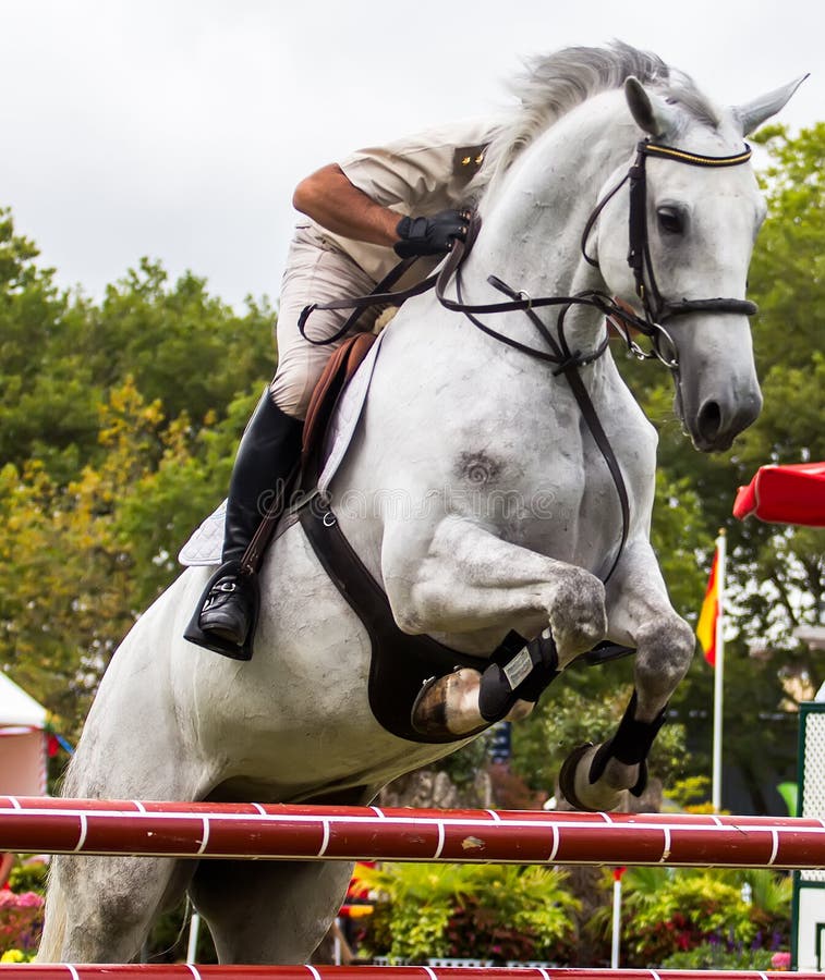 Horse Jumping at Equestrian Eventing Show Editorial Image - Image of ...