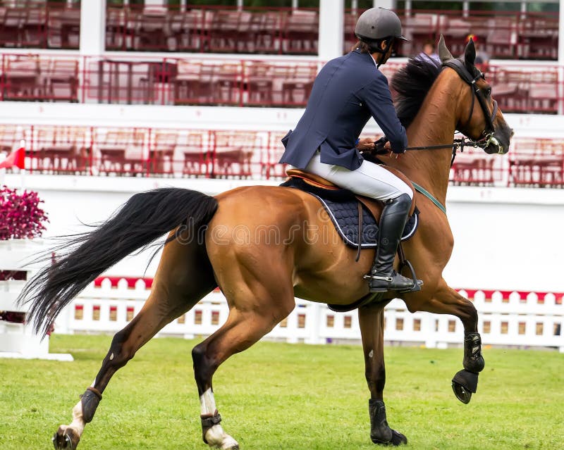 Horse jumping competition editorial photo. Image of outdoor - 45121816