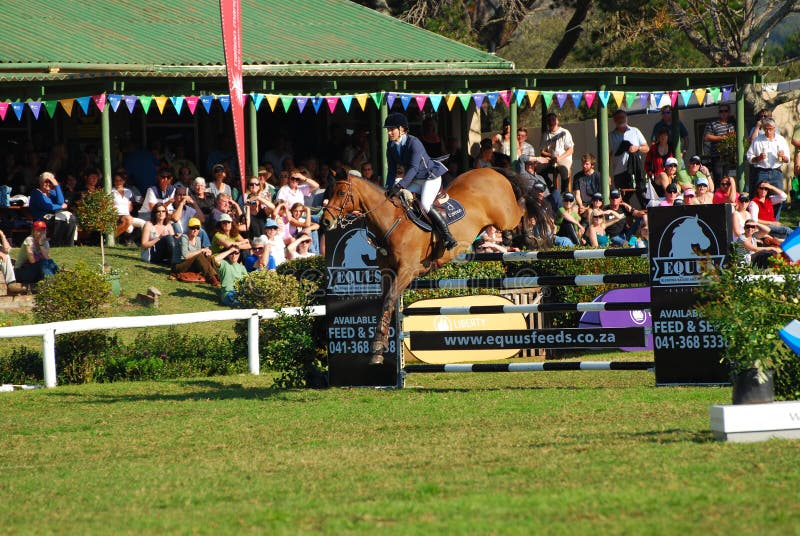 Lara Horse Porcore Stock Photos - Free & Royalty-Free Stock Photos from ...