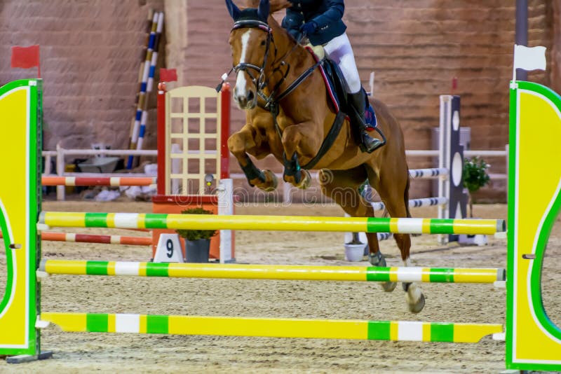 Horse Jumping an Obstacle during an Equestrian Competition on Blurred ...