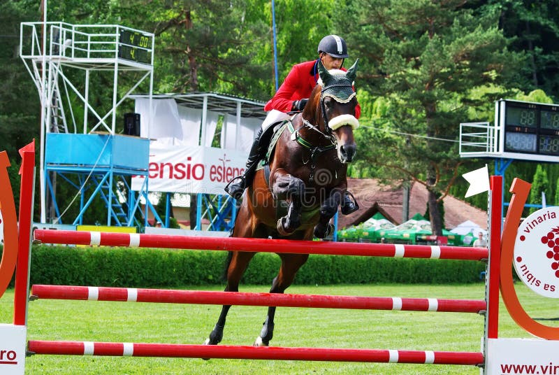 Horse jumping sport editorial photo. Image of championships - 9833426