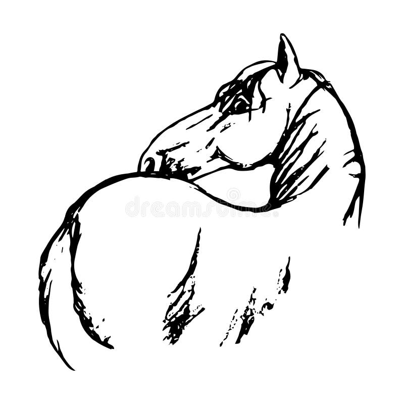 Horse Back View Stock Illustrations – 123 Horse Back View Stock ...