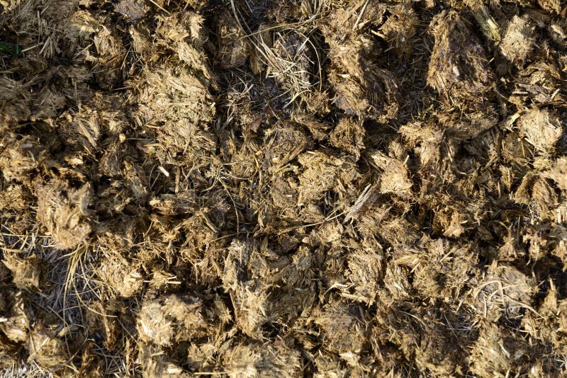 Horse Manure Pellets Fertilizer Isolated on White Background Stock ...