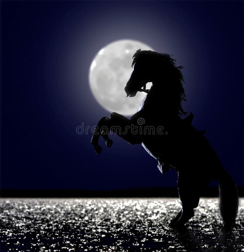 Horse in the moonlight stock image. Image of water, night - 7115945