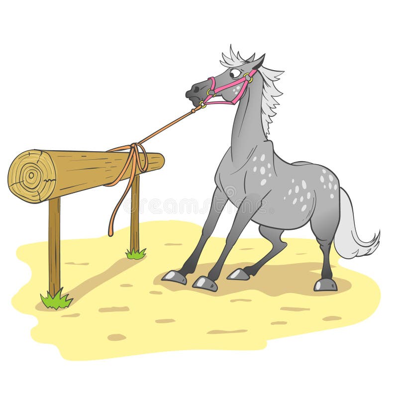 Horse Not Standing Still when Tied Up Stock Vector - Illustration of ...