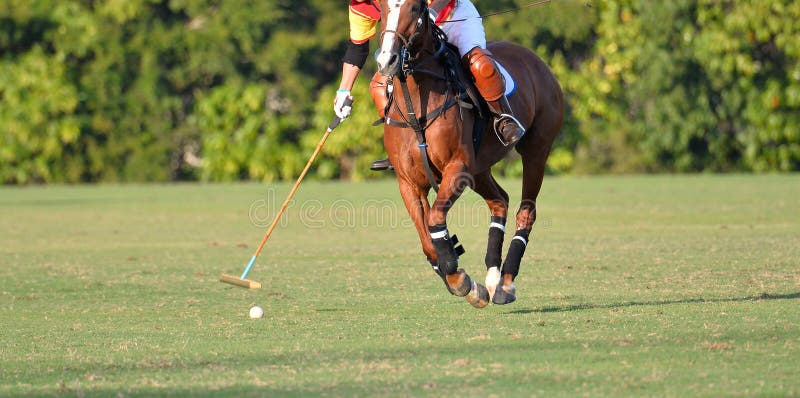 Horse Polo Player Hit a Polo Ball Stock Photo - Image of match, equine ...