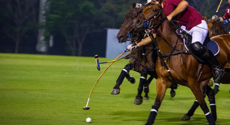 Horse Polo Running in a Night Polo Editorial Photo - Image of dirt ...