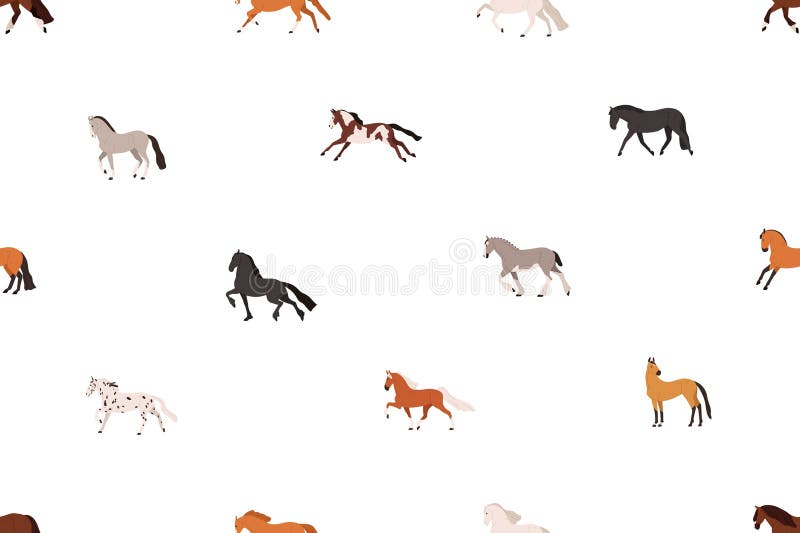Horse Print. Seamless Equine Pattern Stock Vector - Illustration of ...