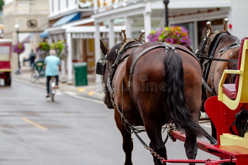 Horse Pulling Wagon in Town Stock Photo - Image of portrait, ride ...