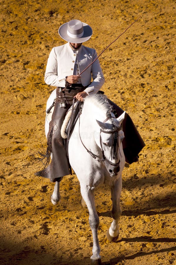 Old western cowboy roper stock image. Image of male, rider - 11809257
