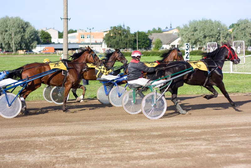 Standardbred Horse Race editorial photo. Image of colt - 12753576