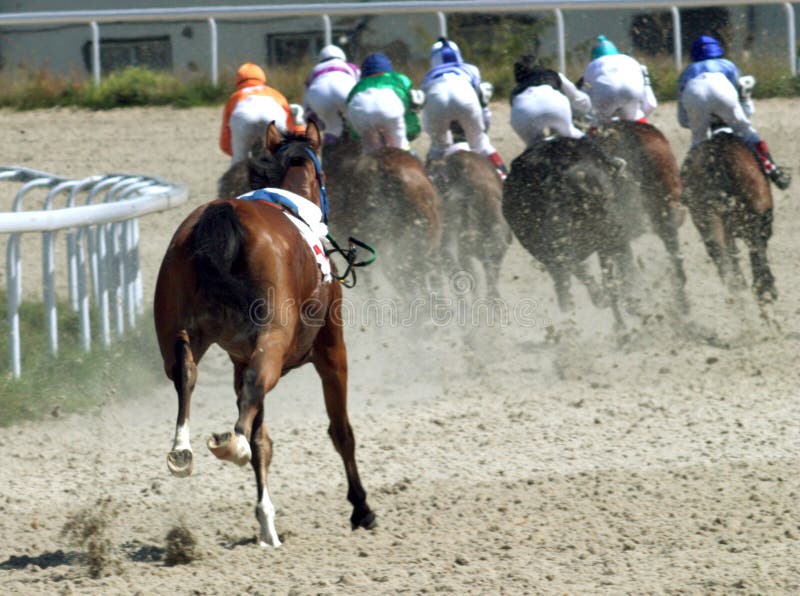 Horse race. editorial photography. Image of jockey, shouting - 10844742