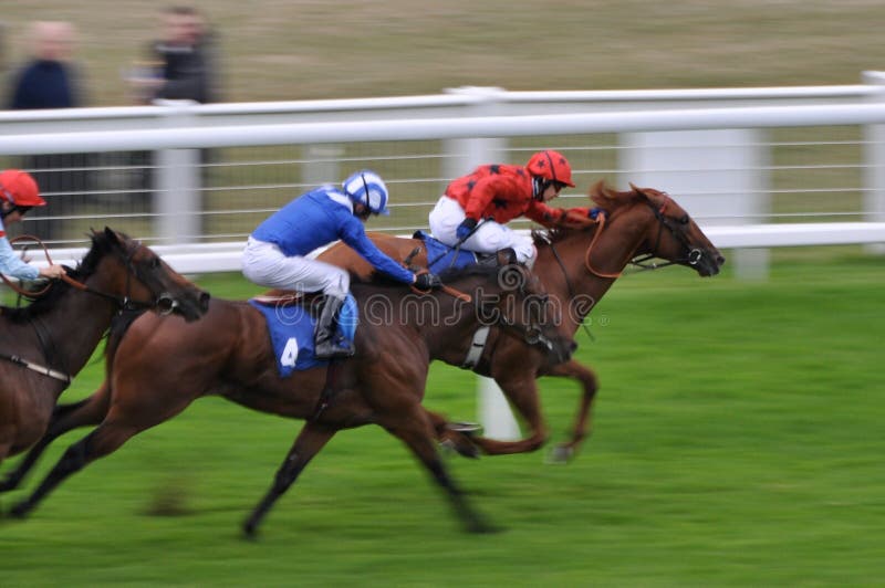 Horse race editorial photo. Image of field, green, gamble - 14577241