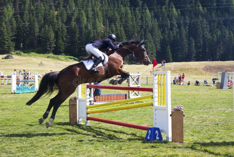 Horse race editorial photography. Image of tender, show - 15688797