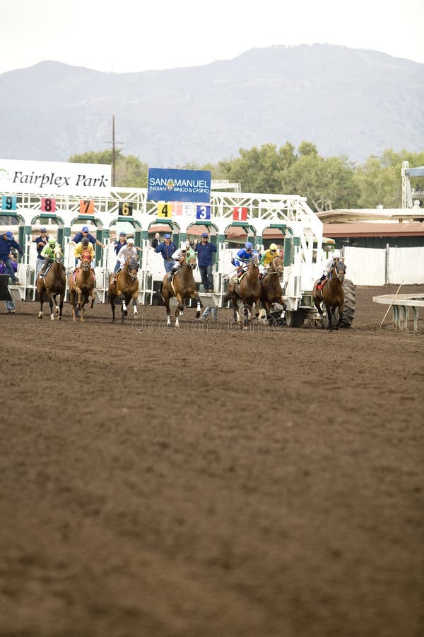 Horse Race 2 editorial photo. Image of competition, races - 4795481