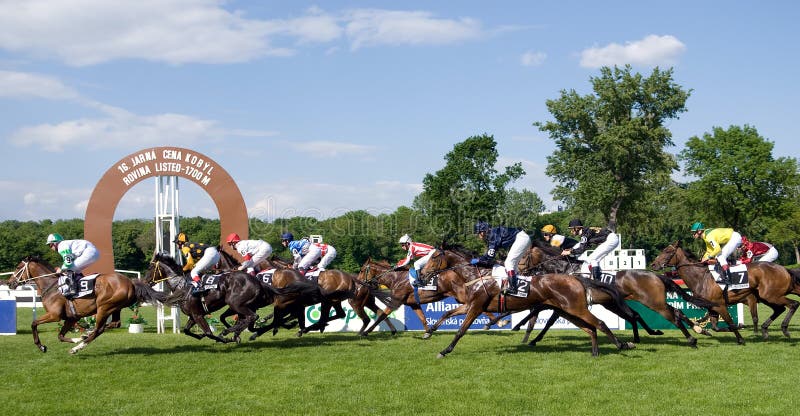 Collection of red ribbons stock vector. Illustration of ribbons - 3833132