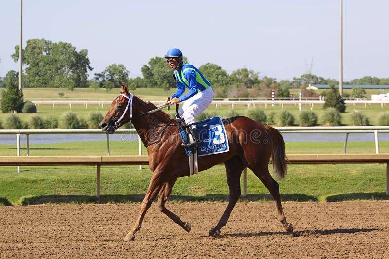 Horse race. editorial stock photo. Image of athlete, jockey - 9700358