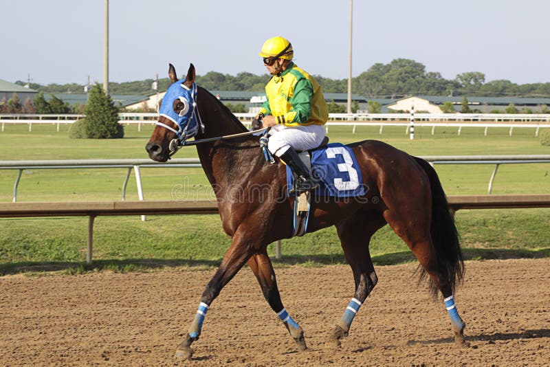 Horse Race Panorama editorial stock photo. Image of competition - 6541293