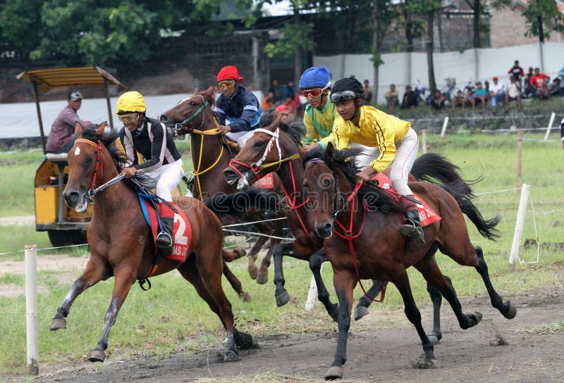 Horse race editorial stock photo. Image of equestrianism - 66821153