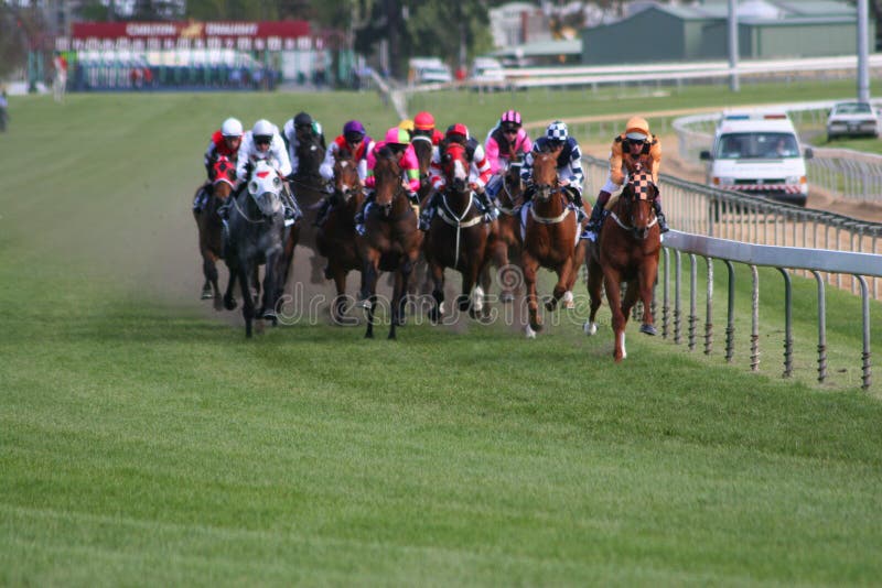 Horse race-motion editorial photo. Image of power, horse - 338771