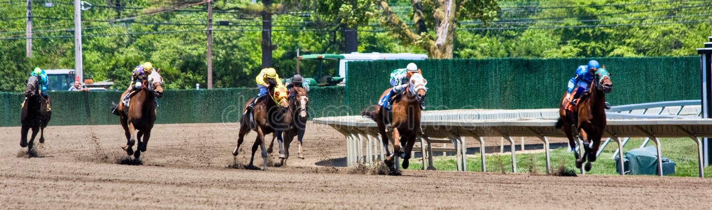 243 Horse Sprints Stock Photos - Free & Royalty-Free Stock Photos from ...