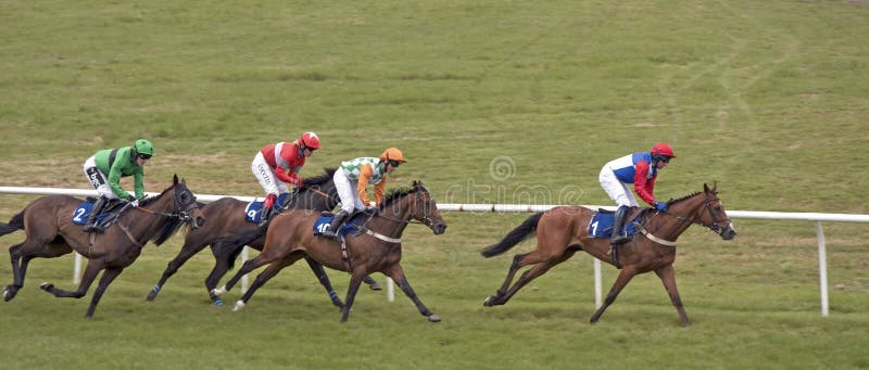 Two horses racing stock photo. Image of competition, leading - 14477590