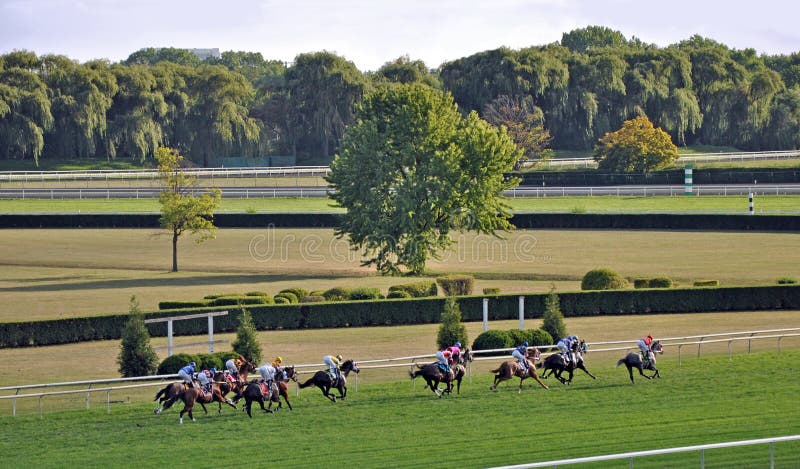 Horse race on summer day stock photo. Image of agility - 51397452