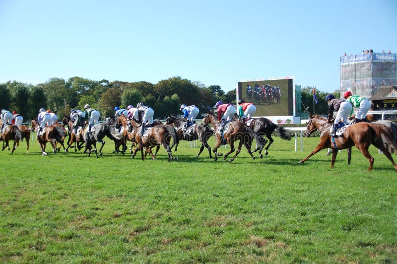 Horse race sprint stock image. Image of horses, competition - 4691929