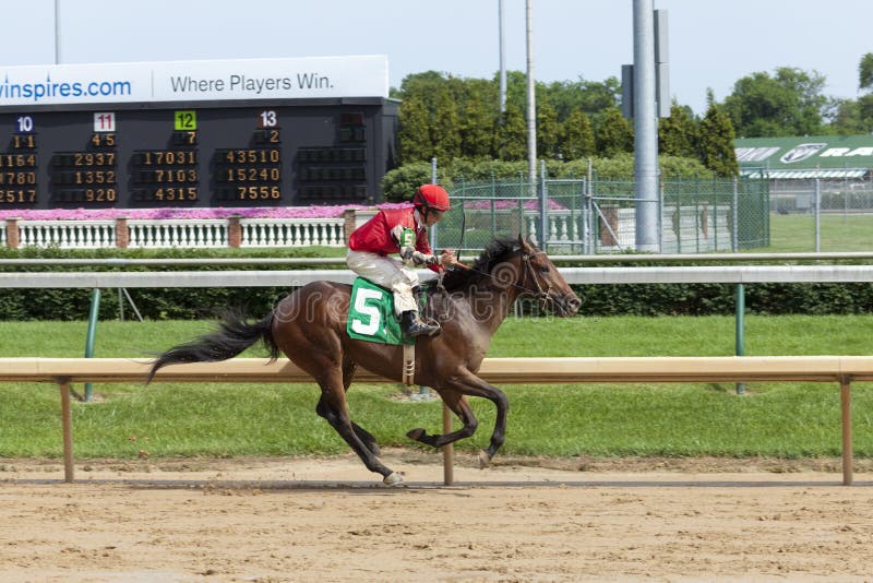 Horse Races at Churchill Downs Editorial Stock Image - Image of horse ...