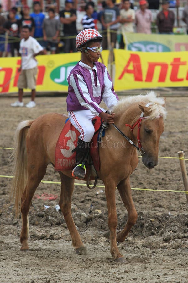 Horse races editorial image. Image of horse, people, java - 48369165