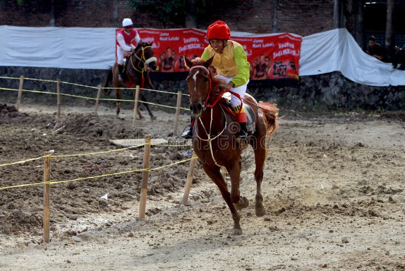 Horse races editorial photography. Image of rein, tree - 48370297