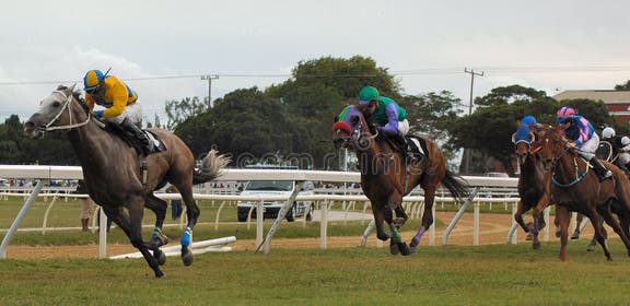 Horse racing stock photo. Image of animals, racing, turf - 113470