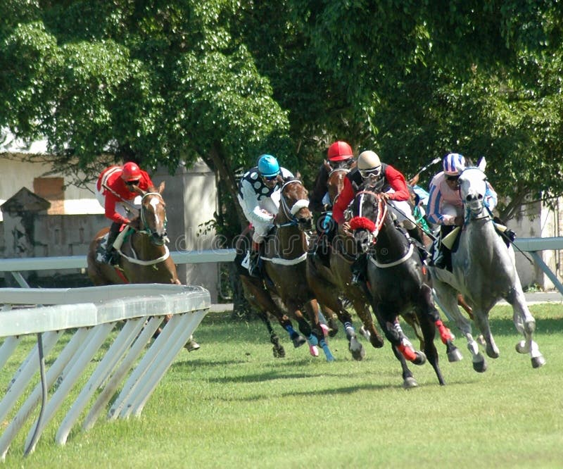 Horse racing stock photo. Image of equestrian, tree, grass - 1067228