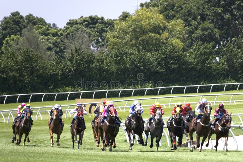 Horse Racing stock photo. Image of speed, club, racehorses - 282566