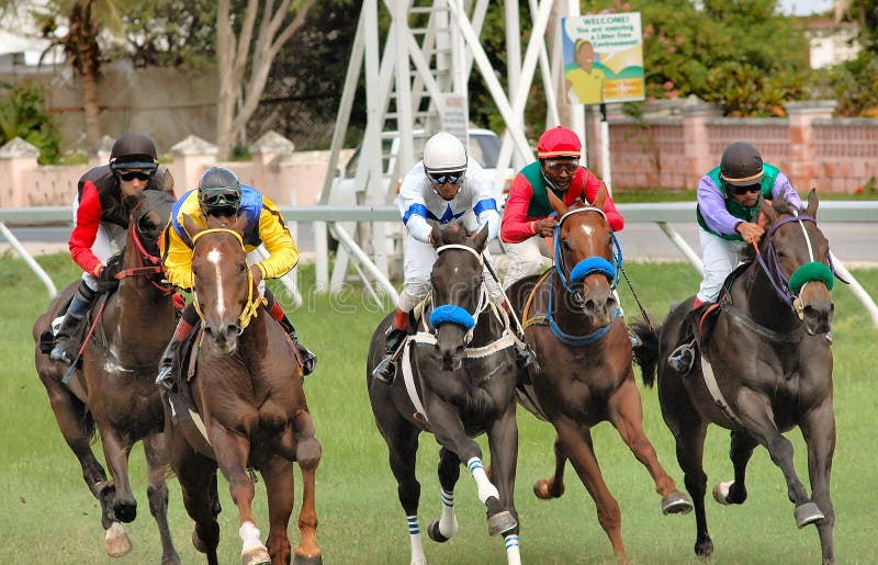 Horse racing stock photo. Image of equestrian, tree, grass - 1067228