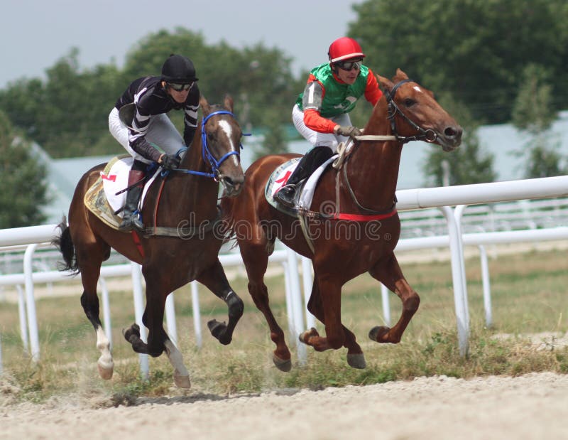 Two horses racing stock photo. Image of competition, leading - 14477590