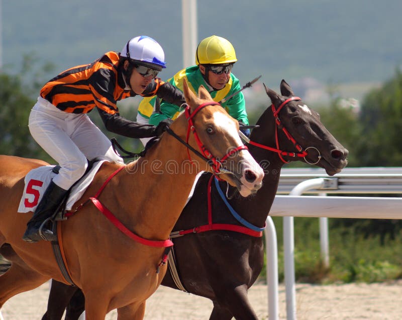 Golden Dun Akhal-teke Horse Stock Photo - Image of season, shine: 20524190