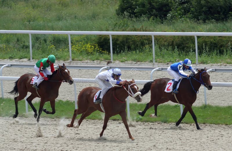 Two horses racing stock photo. Image of competition, leading - 14477590