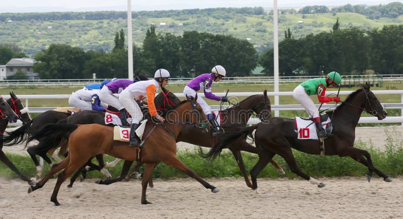 Two horses racing stock photo. Image of competition, leading - 14477590