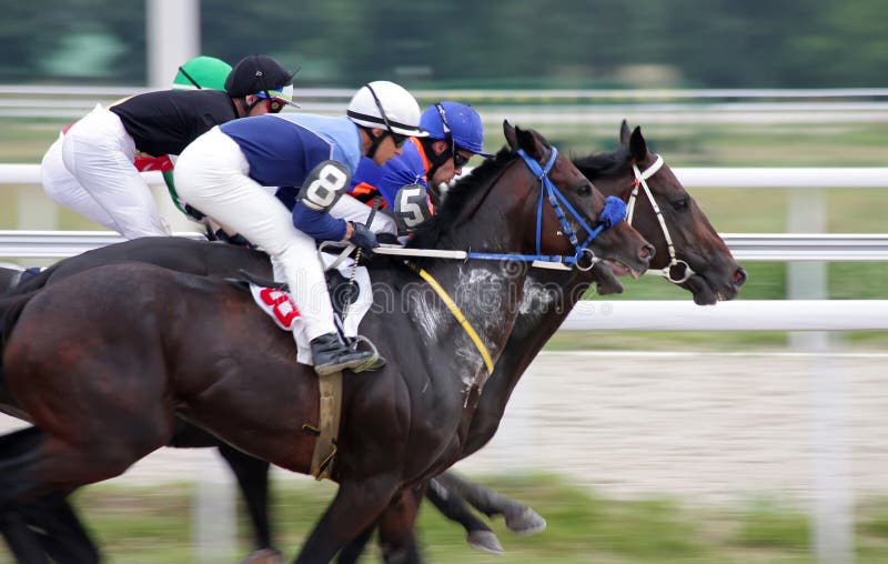 Fighting for the Lead stock image. Image of competition - 4880033