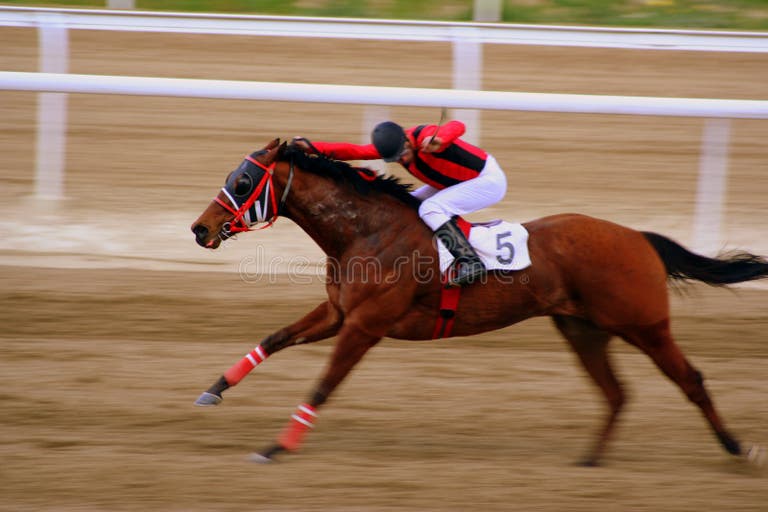 34,989 Horse Racing Screensaver Stock Photos - Free & Royalty-Free ...